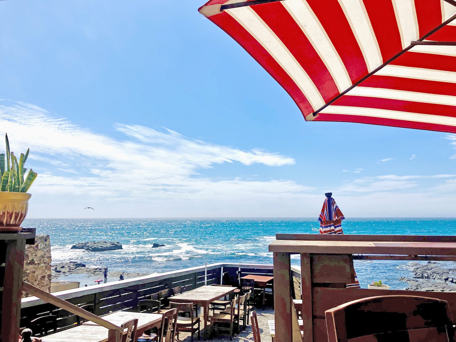 The Sweet Sound of “Two for One!” - Gringo Gazette North